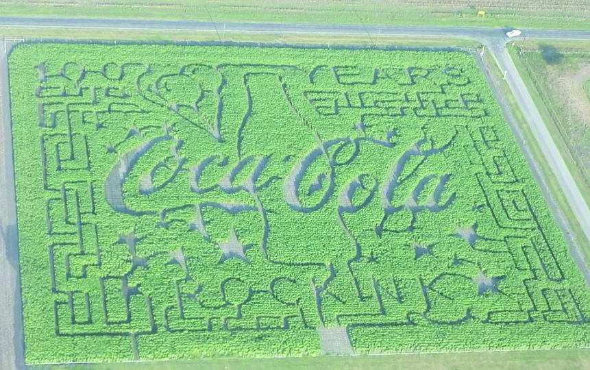 6-acre corn maze perfect fall fun for families – FOGHORN NEWS