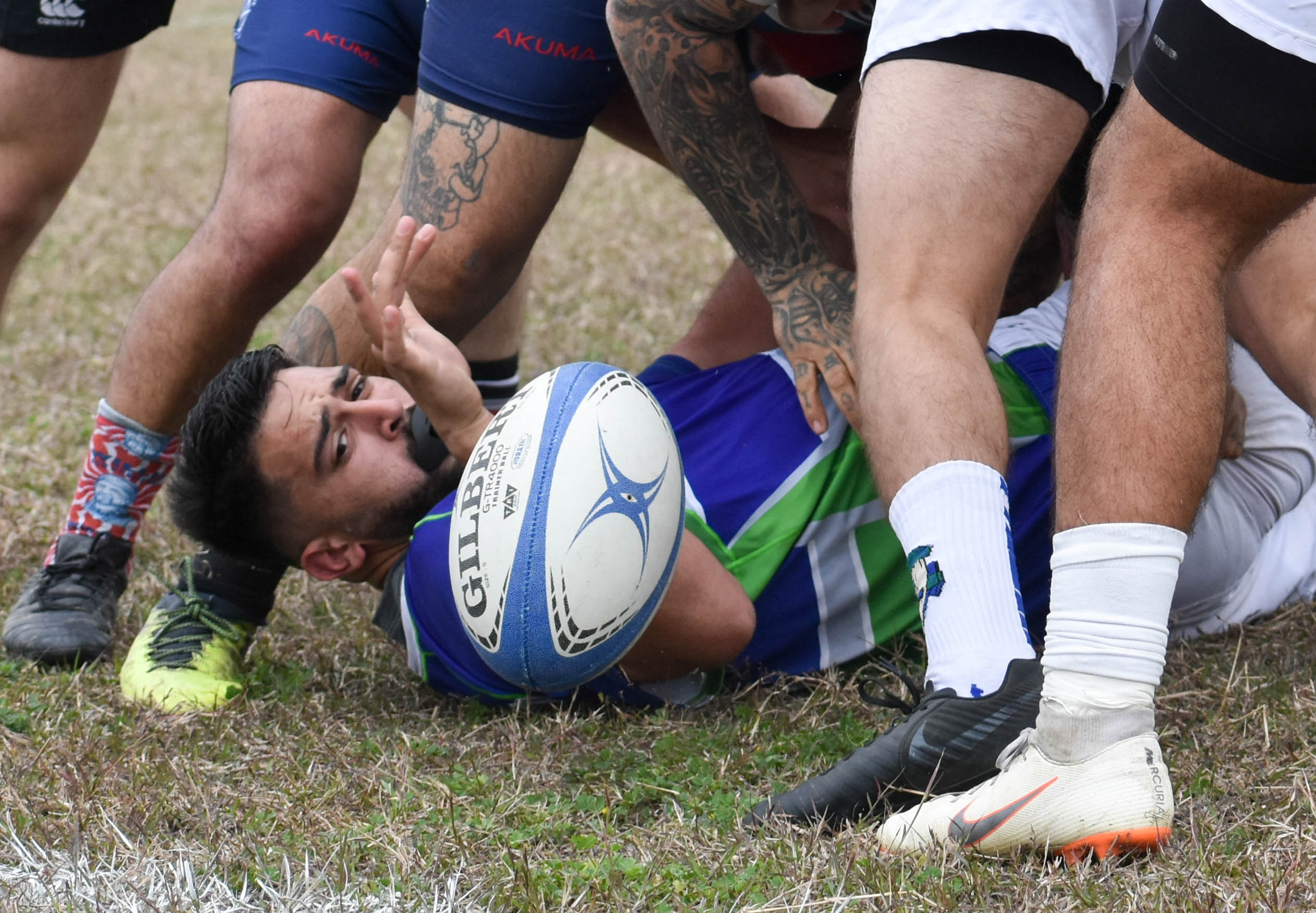 Photo Galleries – FOGHORN NEWS